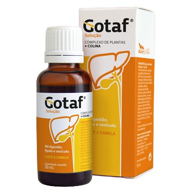 Gotaf Gotas Orais - 30ml | Farmácia Camelo
